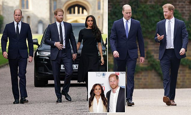 New poll reveals popularity of Prince William vs Prince Harry in the U ...